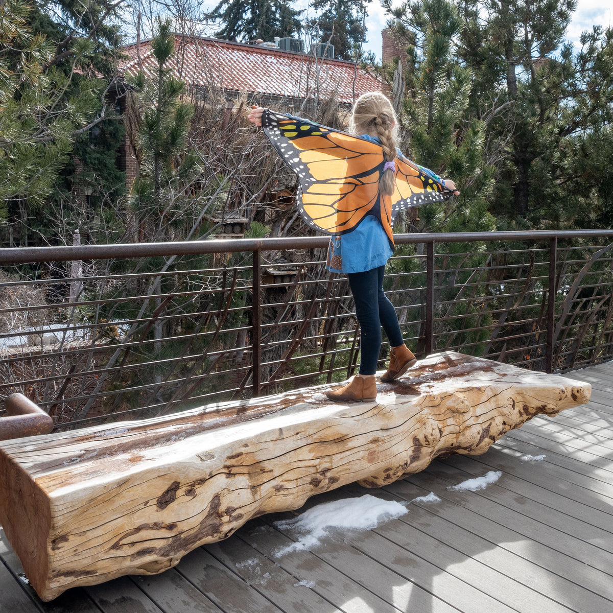 Fallen Tree Seating Project - Habitat Gardens at the Denver Botanic ...