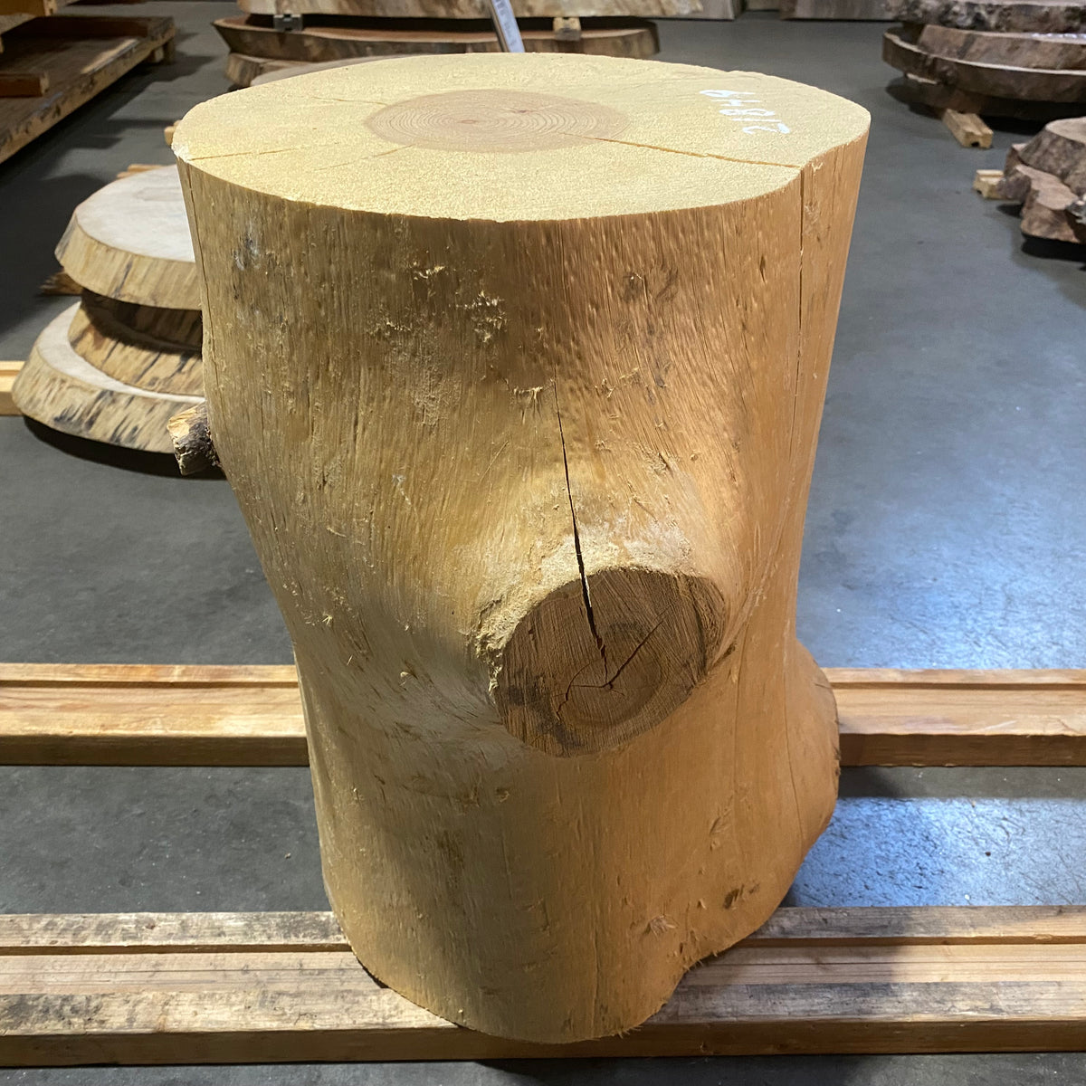 Douglas Fir Trunk Section #21849 (11"-13" x 20") – Collector's ...
