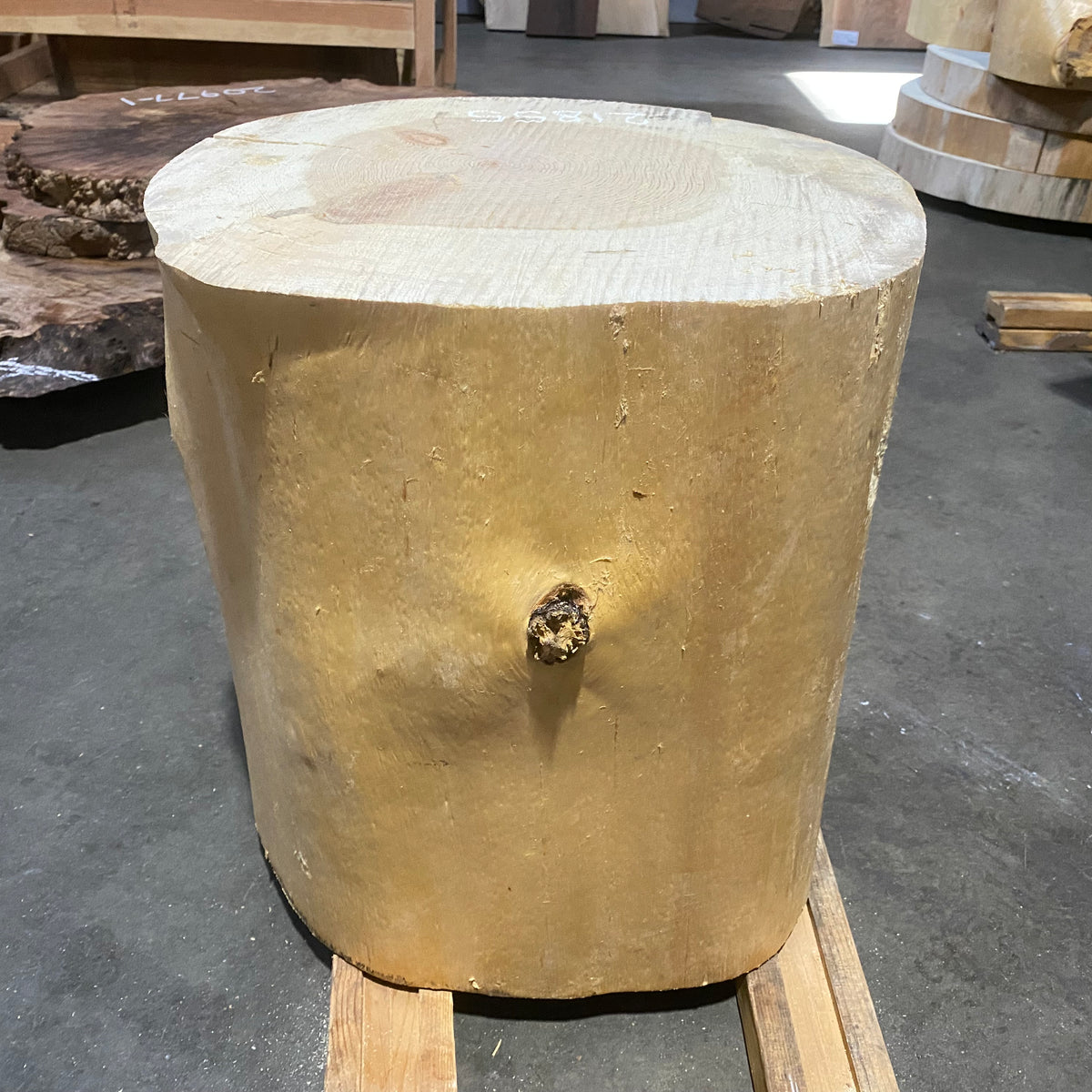 Douglas Fir Trunk Section #21855 (18" x 20") – Collector's Specialty Woods