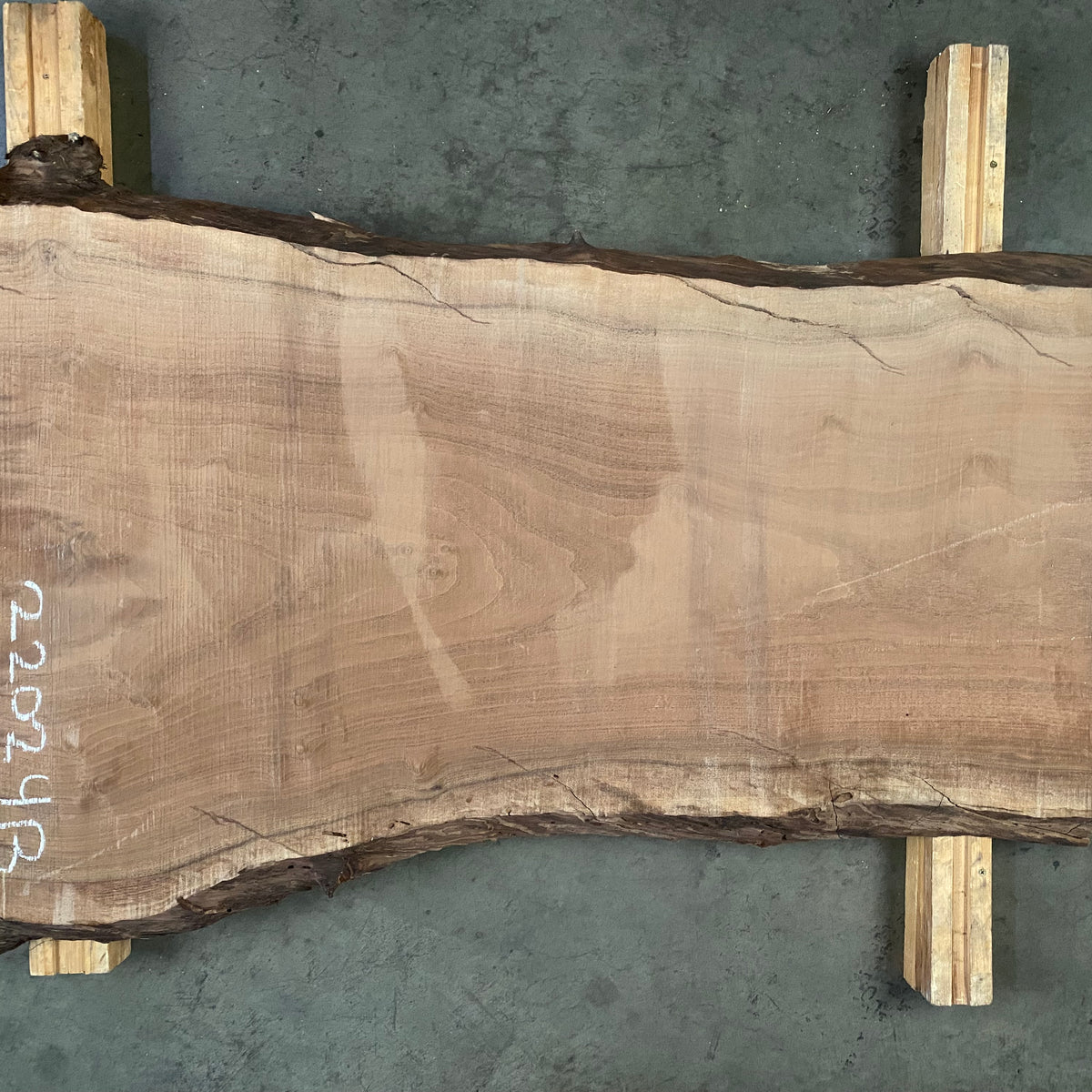 Claro Walnut 22024B (50'' x 26"-33" x 2.375'') – Collector's Specialty ...