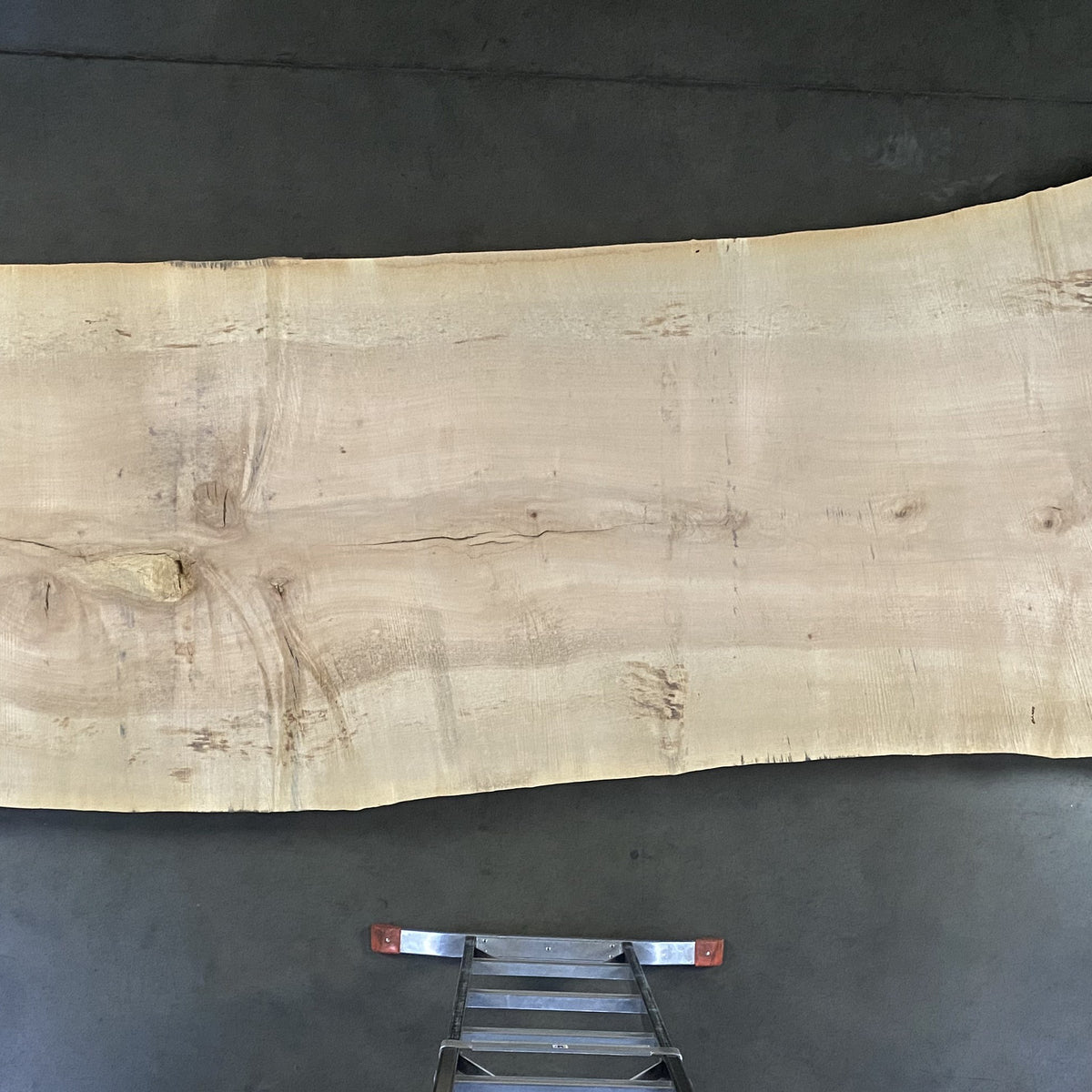 Maple 22170 (150'' x 43"-59" x 3.75'') – Collector's Specialty Woods