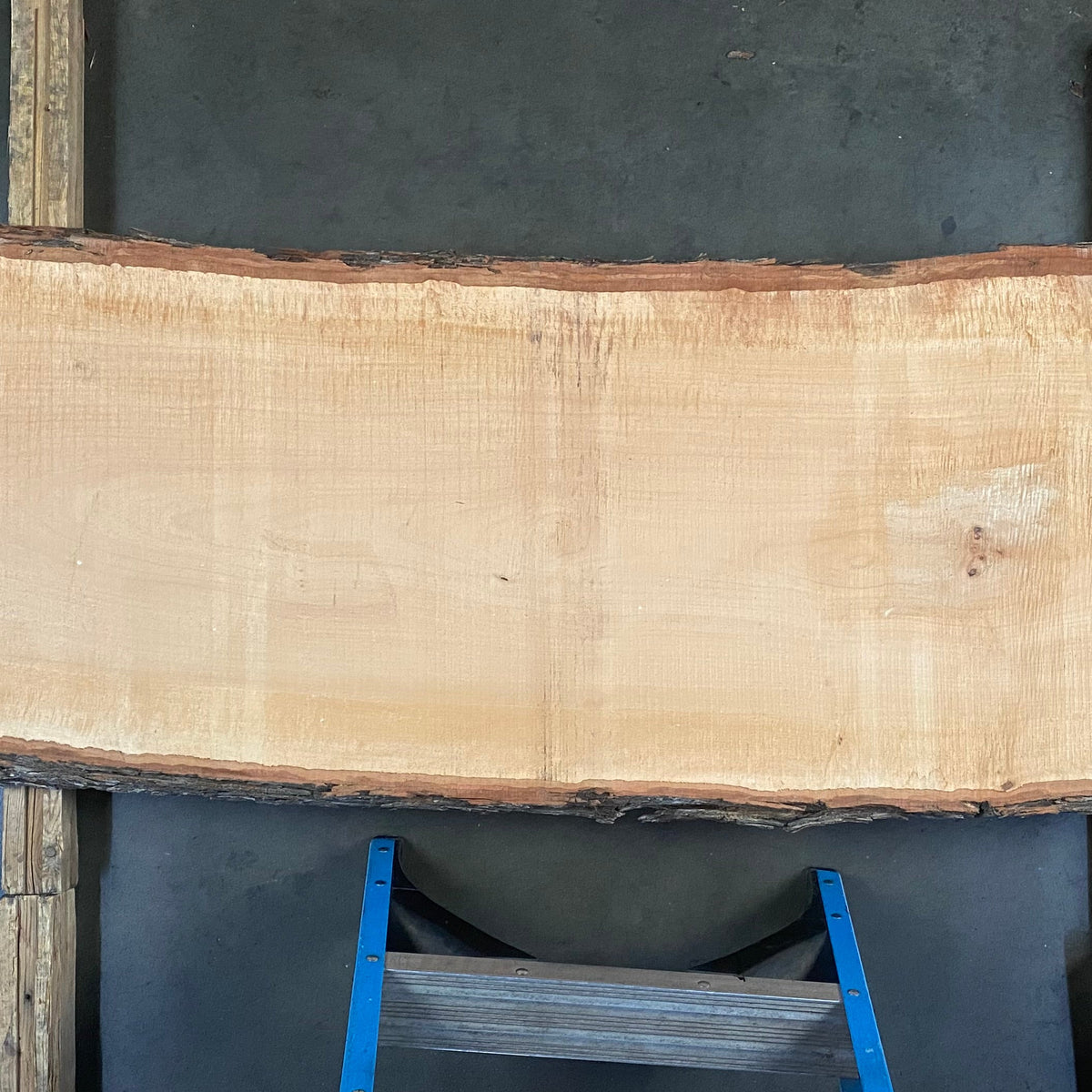 Maple 22716 (81'' x 21"-23.5" x 2.5'') – Collector's Specialty Woods