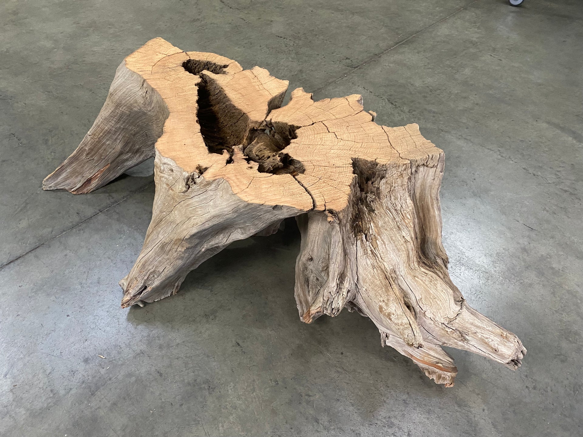 Cedar Root Base #6625 – Collector's Specialty Woods