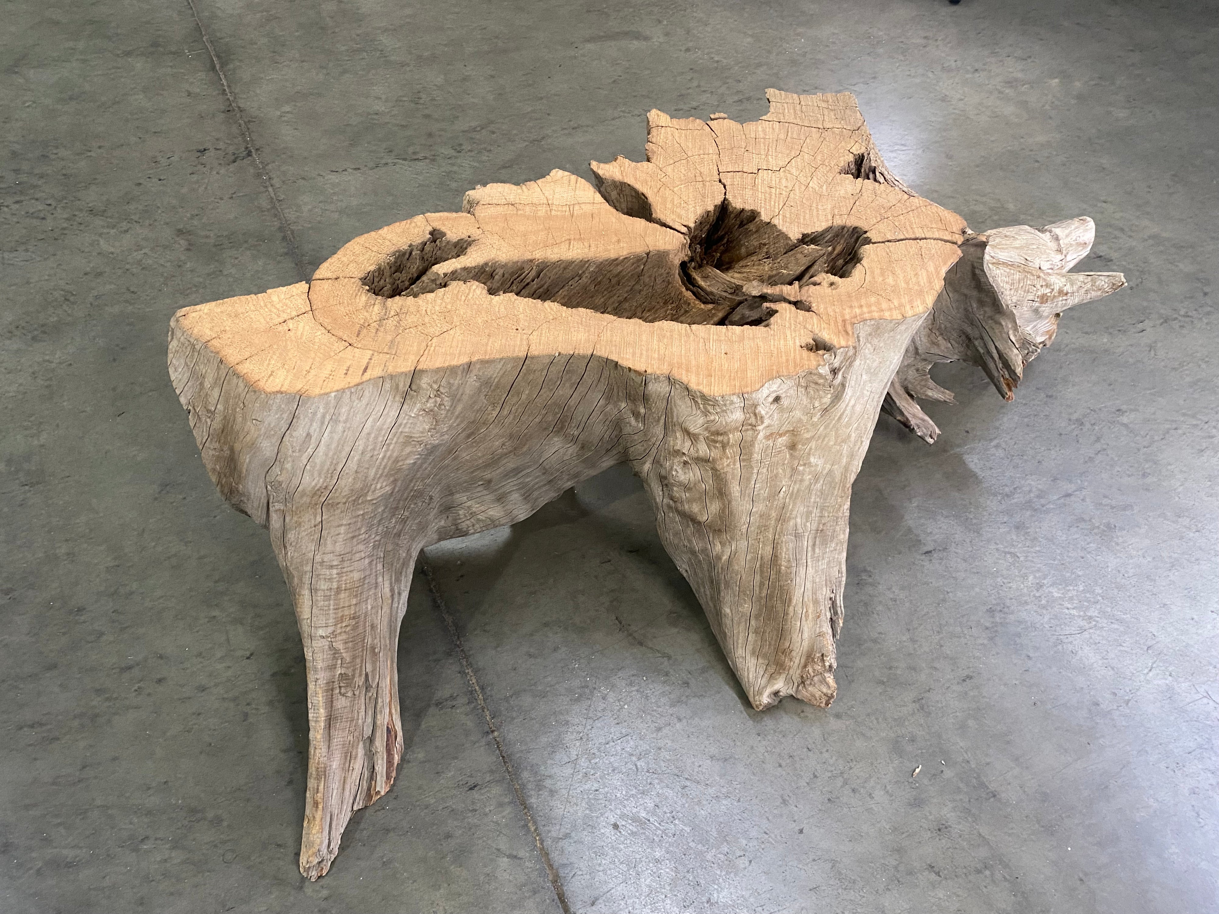 Cedar Root Base #6625 – Collector's Specialty Woods
