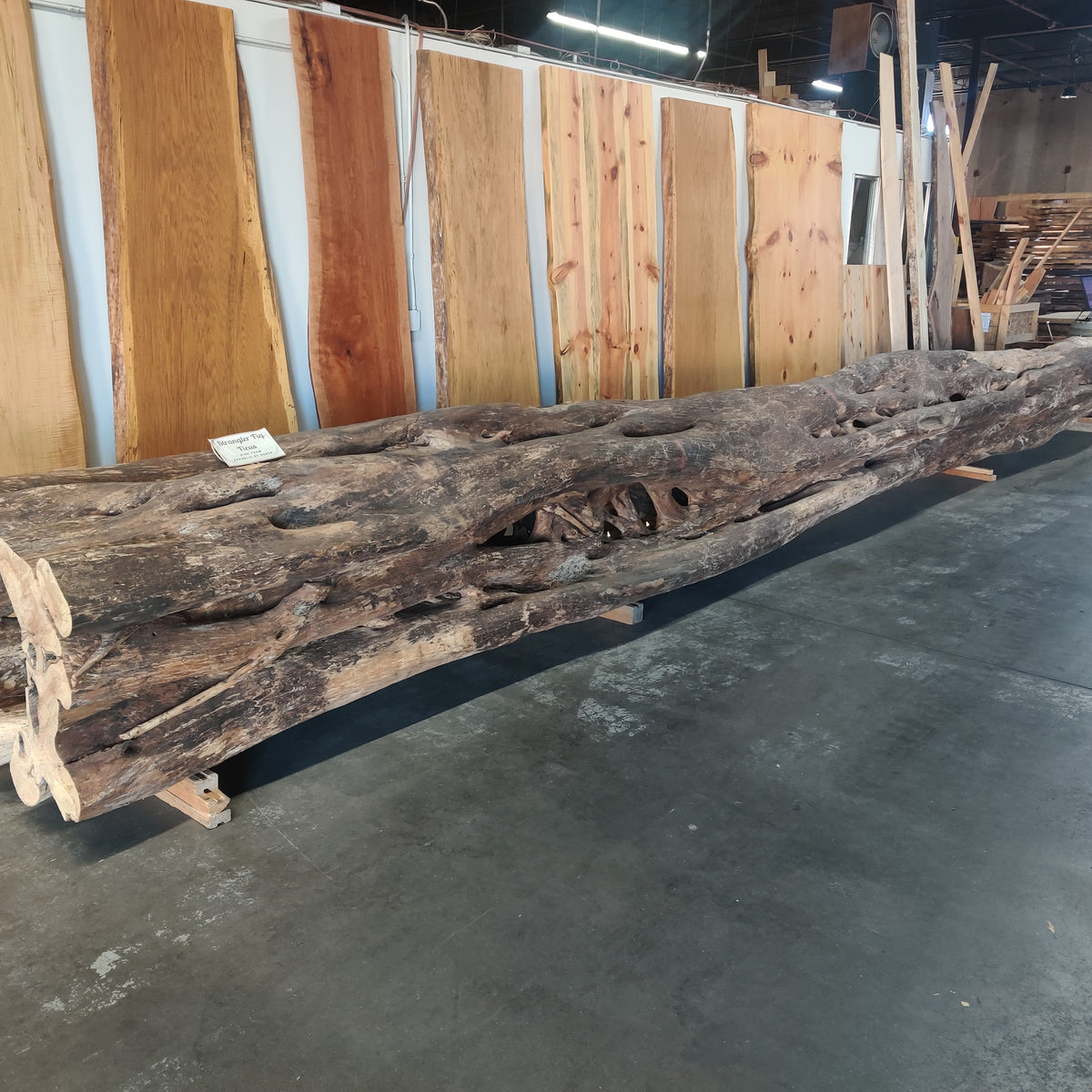 Strangler Fig Ficus Vine – Collector's Specialty Woods